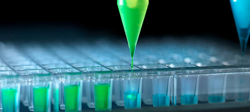 comPOUND | SPT Labtech